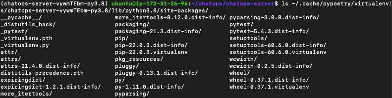 [python] 패키지 관리를 위한 poetry(가상환경까지) - BESPIN Tech Blog
